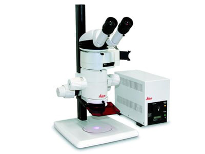 MZ10 F Modular Stereo Microscope for Fluorescent Imaging – Galenica