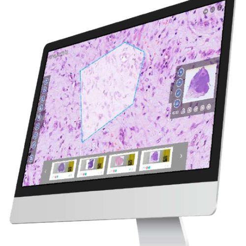 Laboratory Information System – Galenica