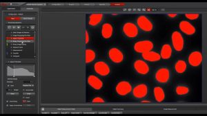 LAS X Life Science Microscope Software Platform – Galenica